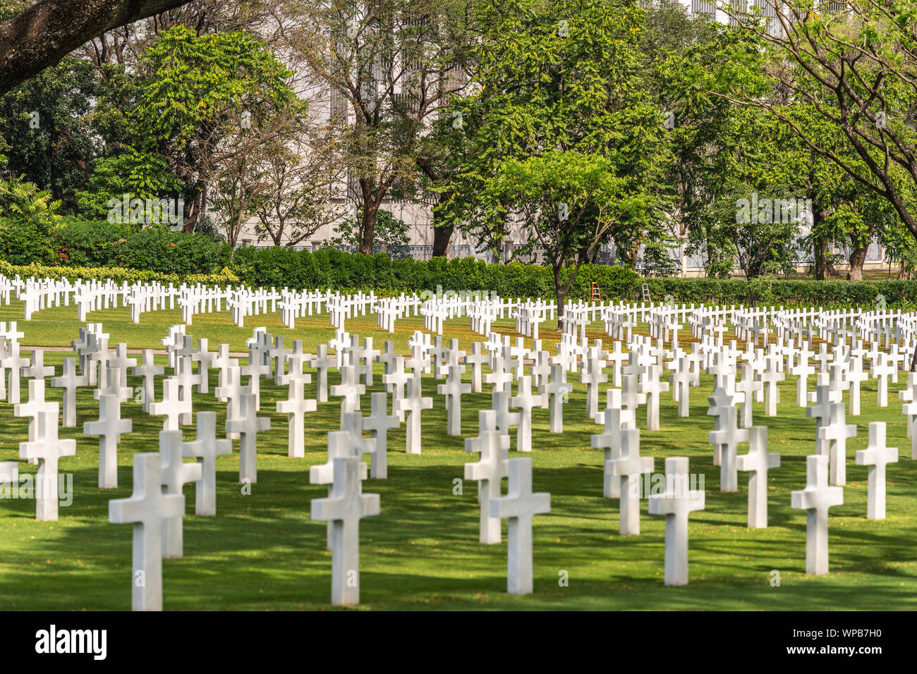 Field white cross remember hi-res stock photography and images - Alamy