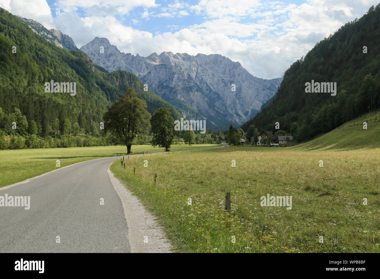 Logarska valley hi-res stock photography and images - Alamy