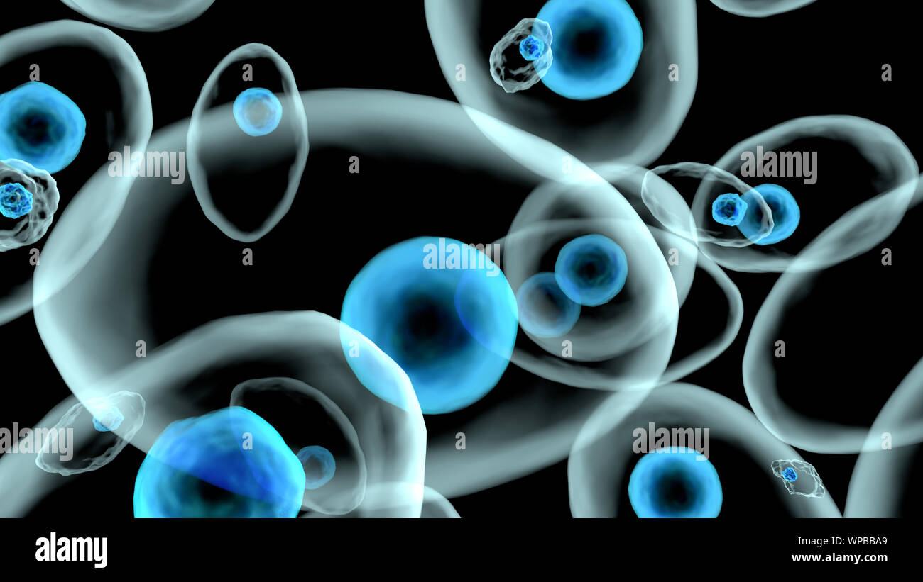 3D rendered Illustration of living cells under the microscope Stock ...