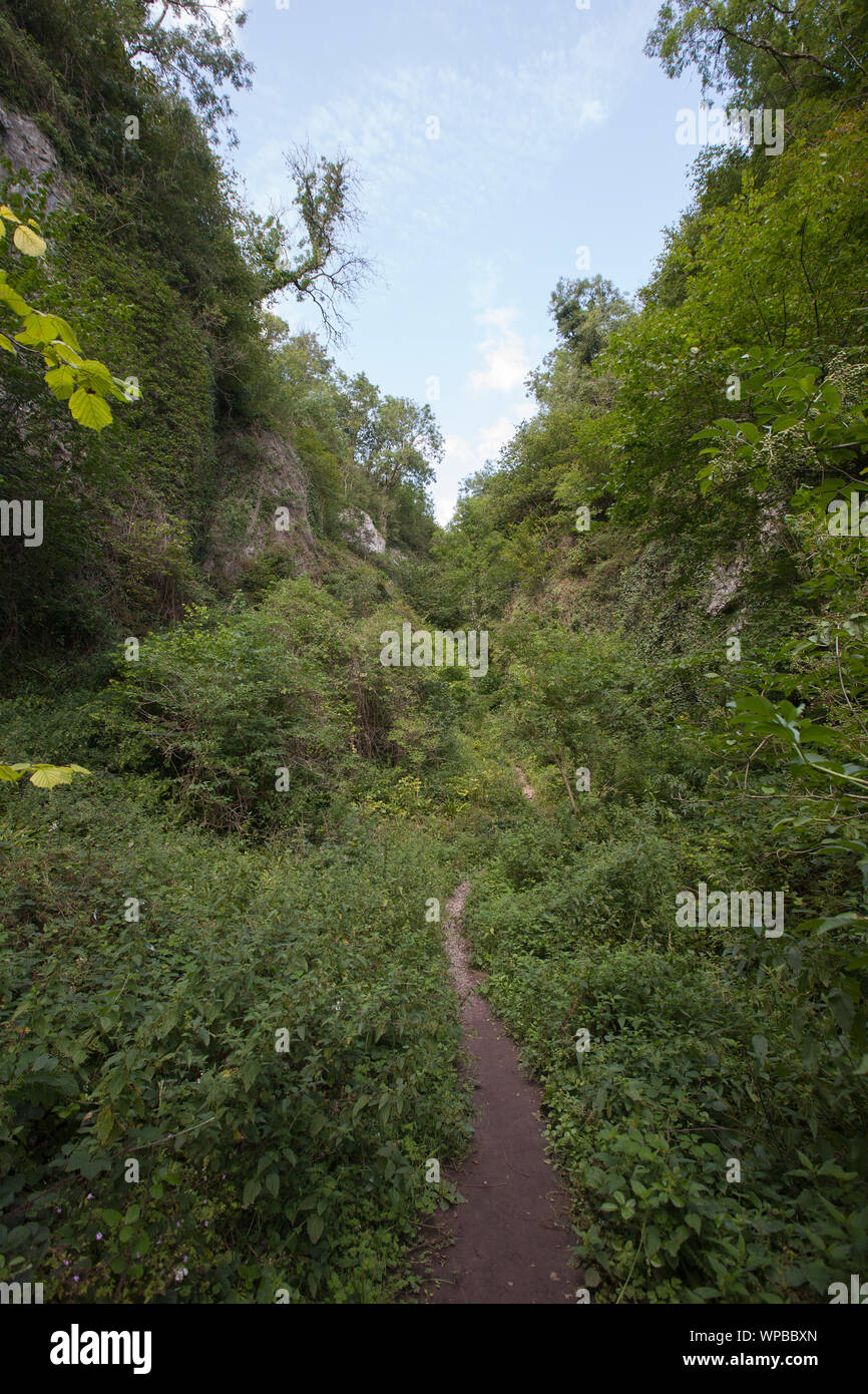 Ebbor Gorge, Somerset Stock Photo - Alamy