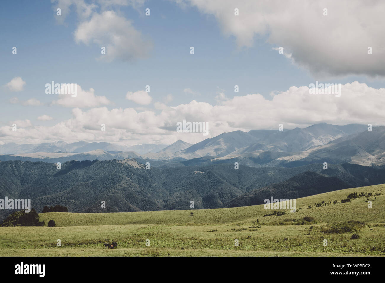 Panorama view of mountains and valley scenes in national park Dombay ...
