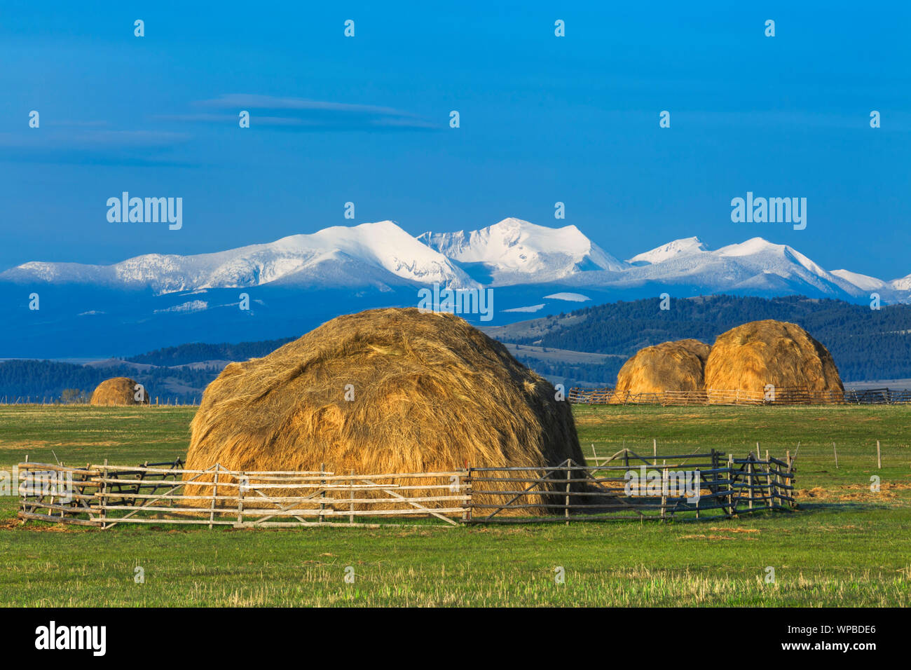 haystacks below the flint creek range near avon, montana Stock Photo ...