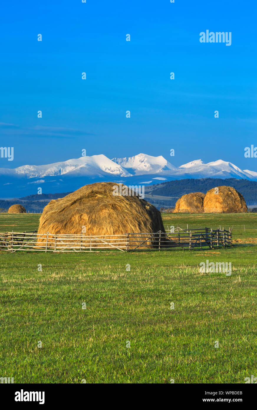 haystacks below the flint creek range near avon, montana Stock Photo ...