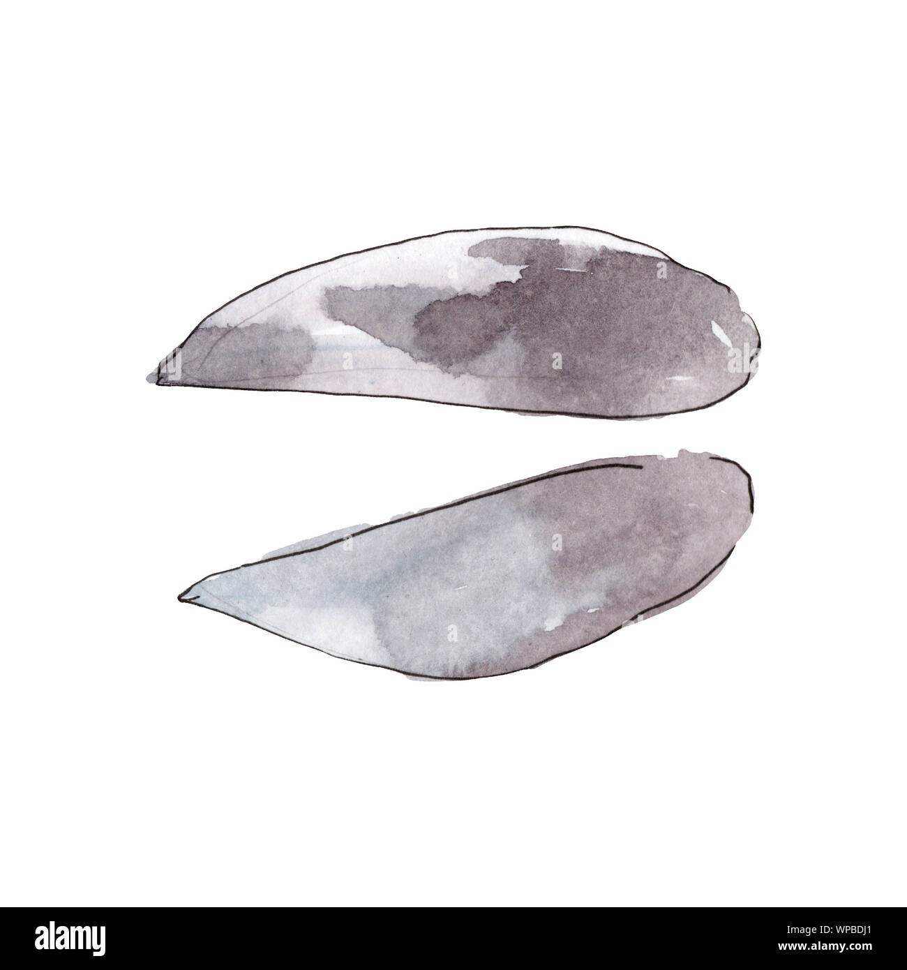 Ram hoof farm animal isolated. Watercolor background illustration set ...