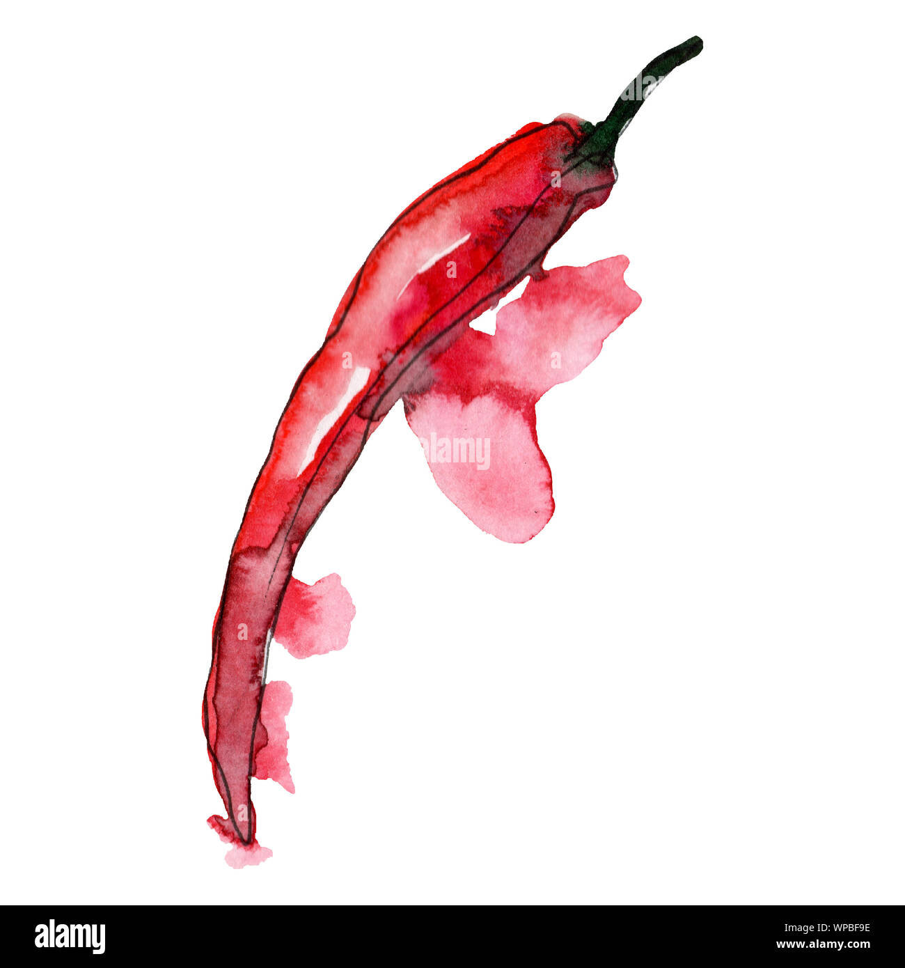 Red chili pepper. Watercolor background illustration set. Isolated ...