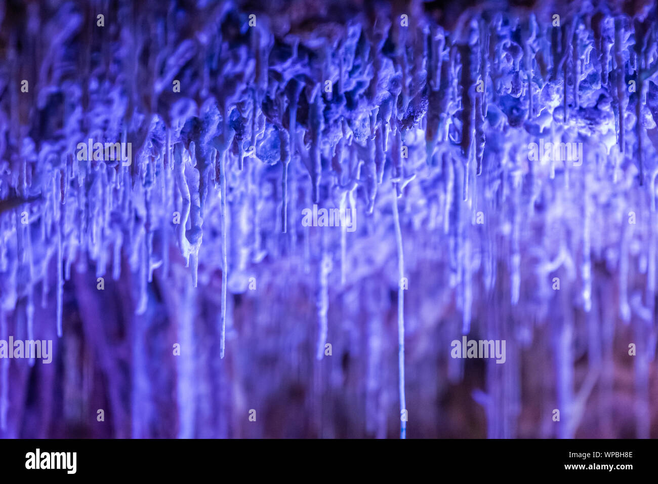 Formations of stalactites and stalagmites in a cave Stock Photo - Alamy