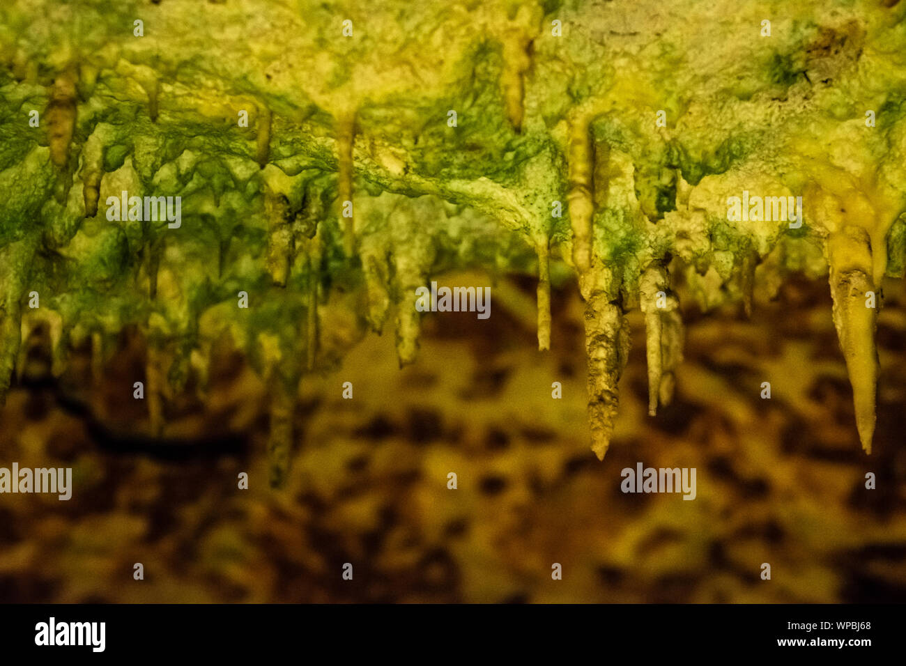 Formations of stalactites and stalagmites in a cave Stock Photo - Alamy
