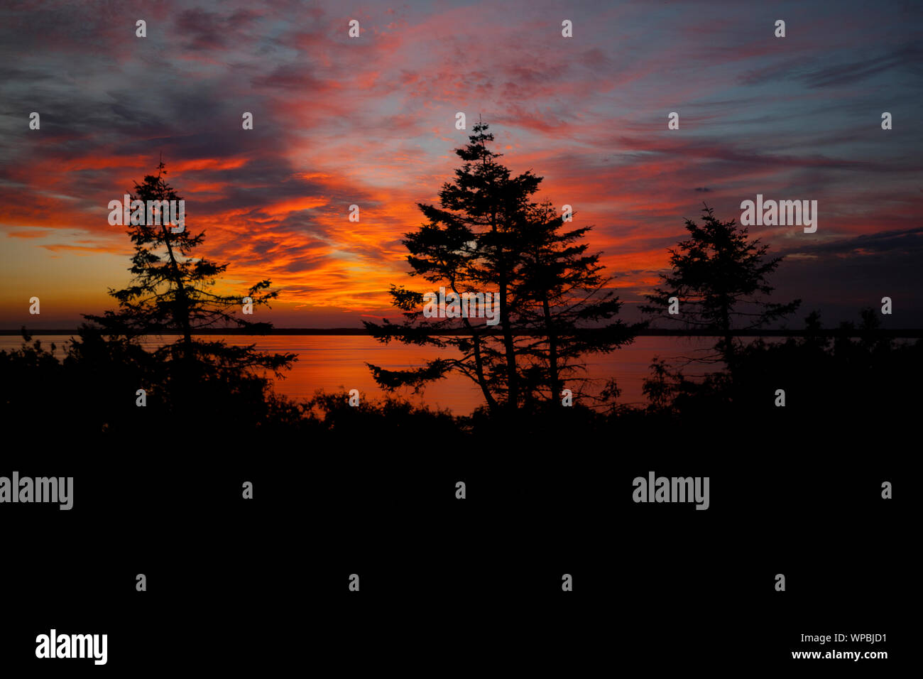 Shimmering heat hi-res stock photography and images - Alamy