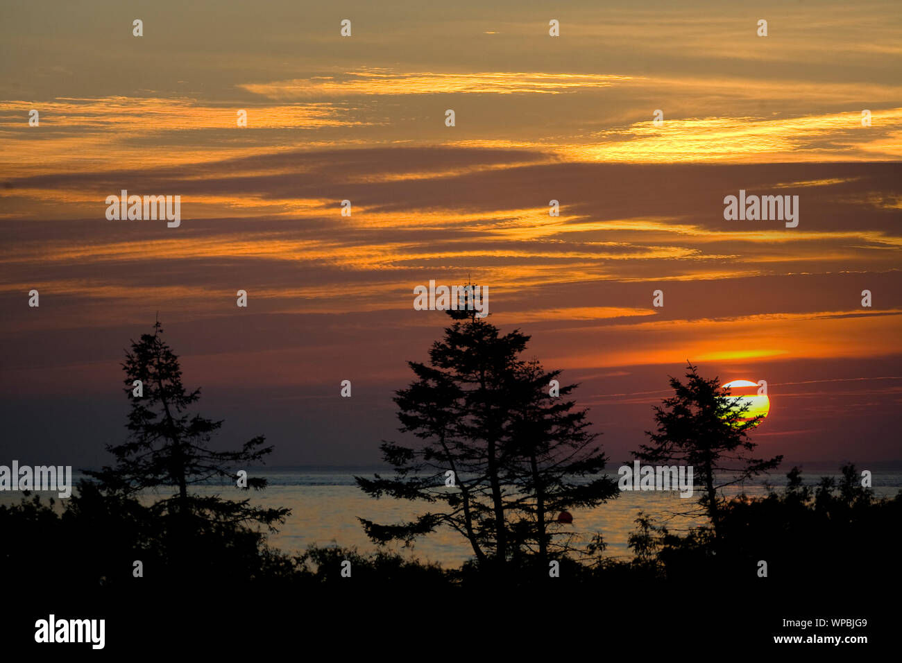 Shimmering heat hi-res stock photography and images - Alamy