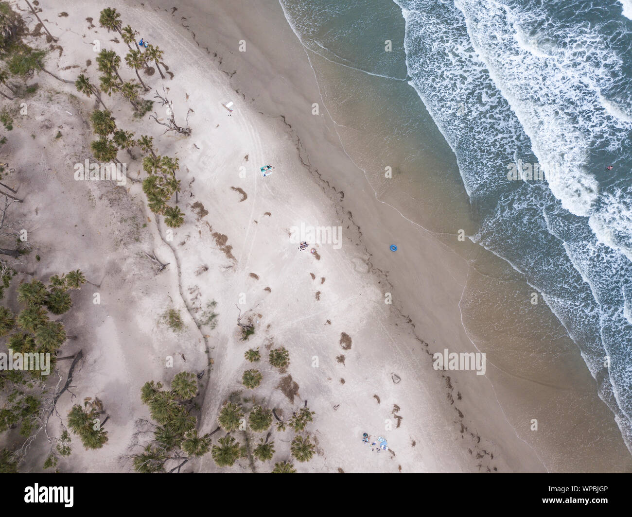 Aerial straight down view of beach with palm trees and people Stock ...
