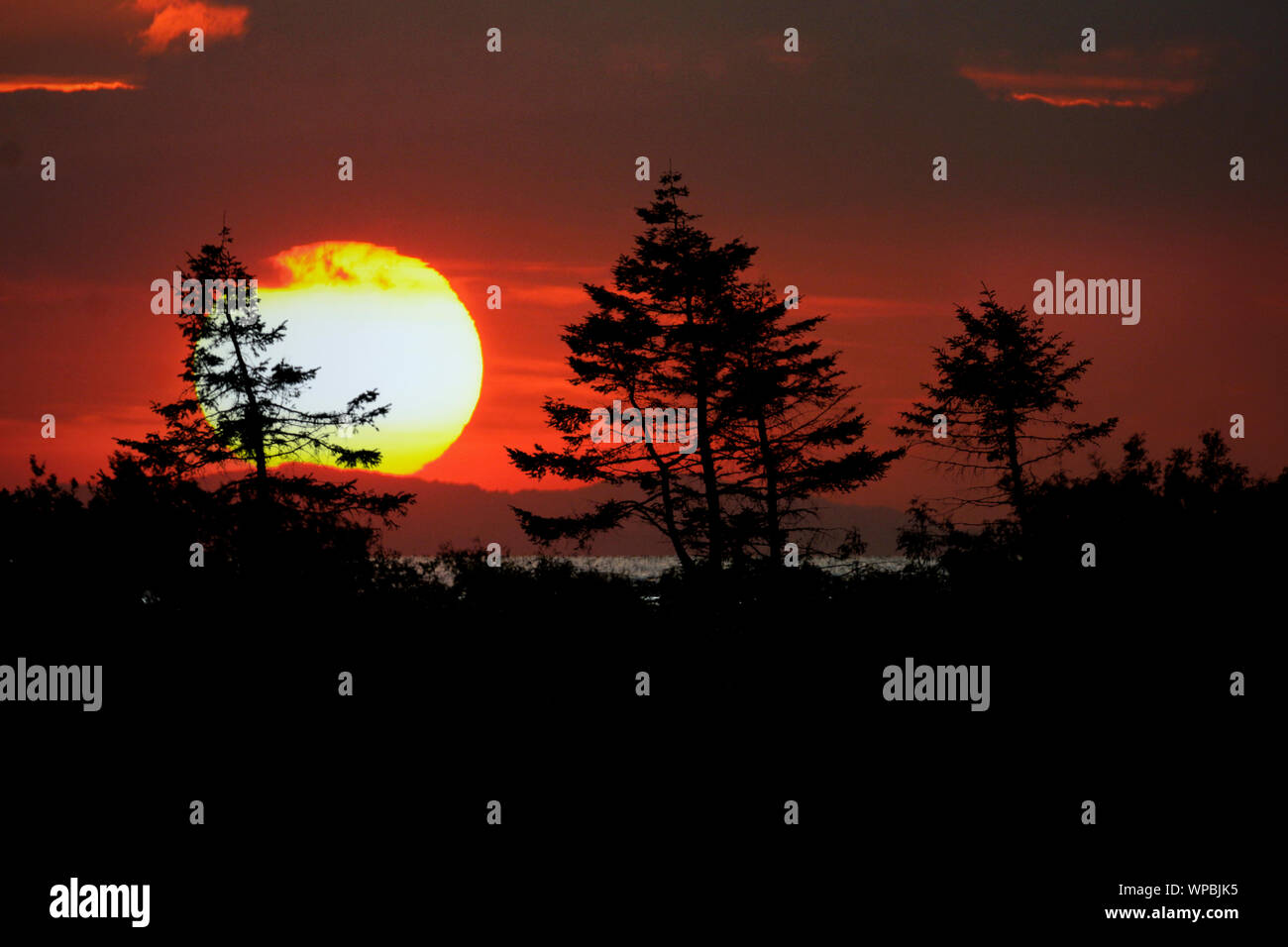 Shimmering heat hi-res stock photography and images - Alamy