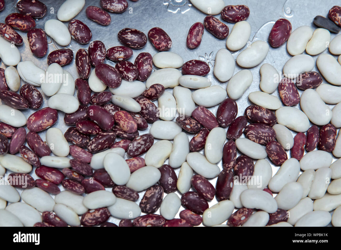 Texture background red dotted beans. Product Image red and white beans ...
