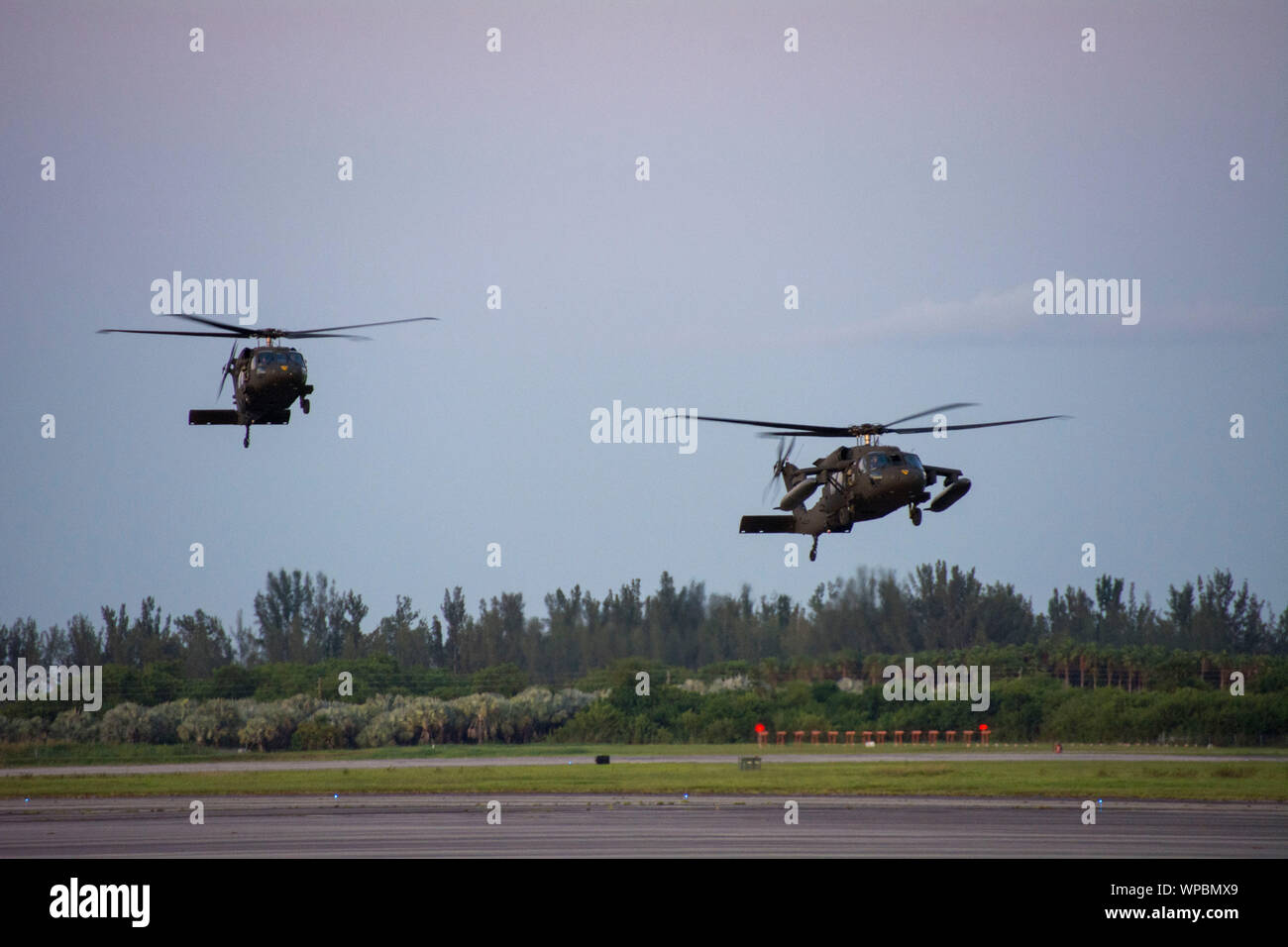 Bahamas dorian black hawk hi-res stock photography and images - Alamy