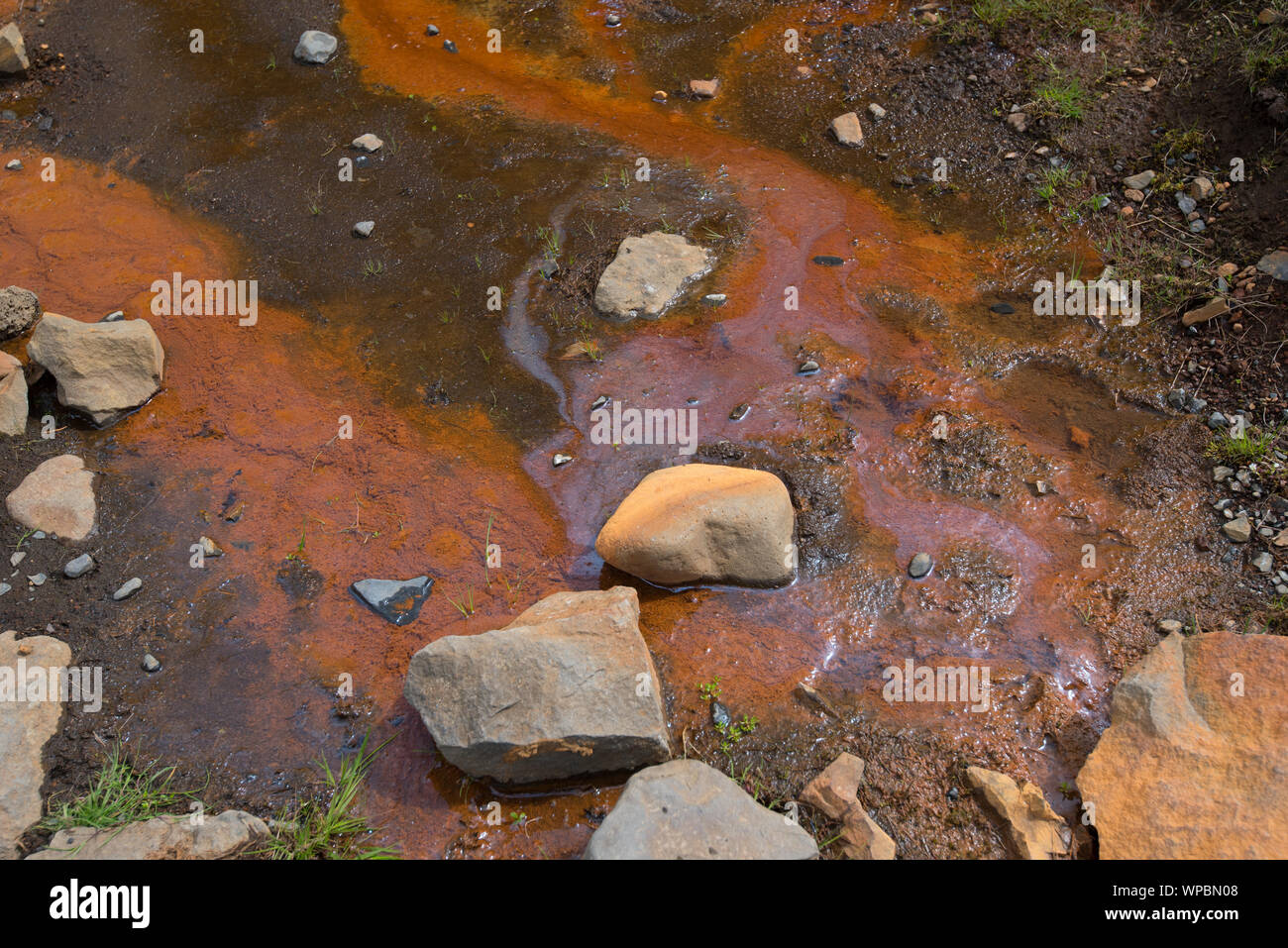 hot spots and boiling sulfur springs in Iceland Stock Photo - Alamy