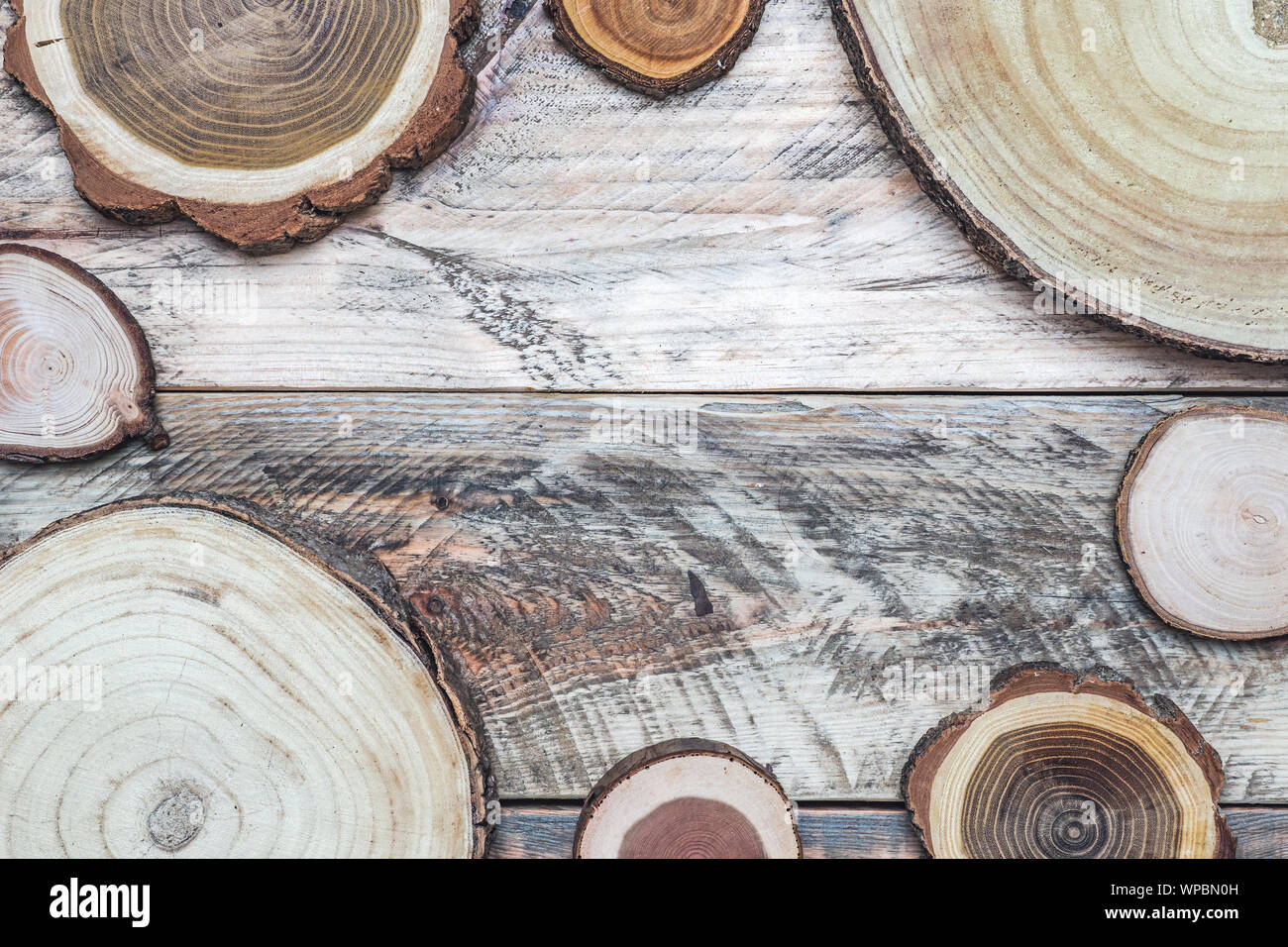 Tree logs slices top view on a weathered wooden background with copy ...