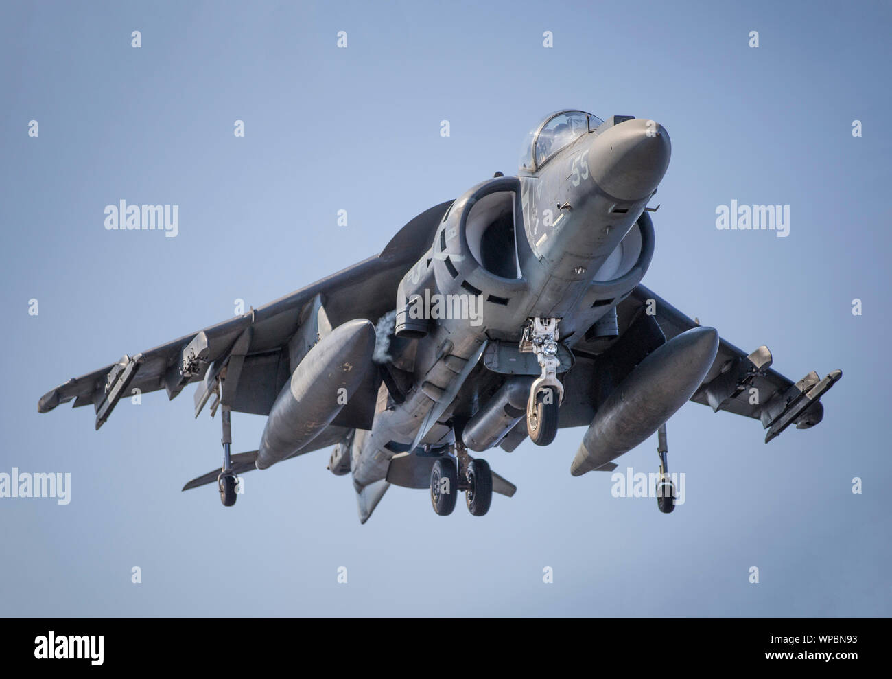 Indian harrier hi-res stock photography and images - Alamy