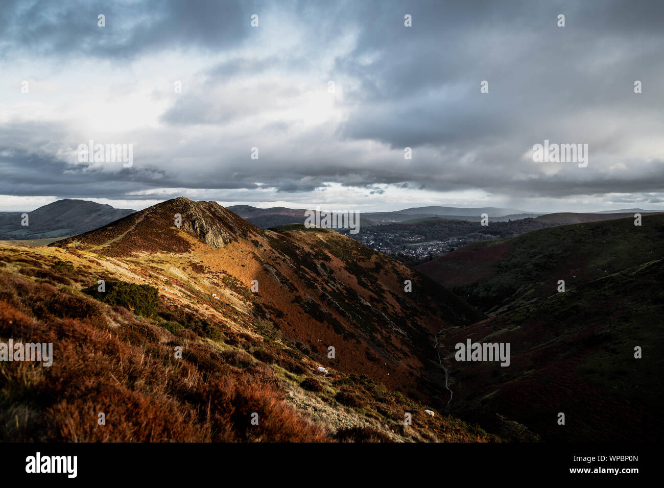 Long mynd shopshire hi-res stock photography and images - Alamy