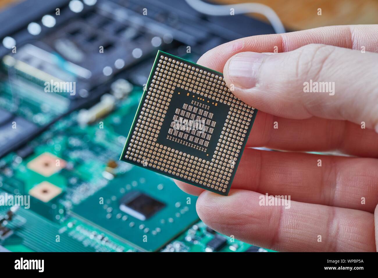 Holding a CPU Stock Photo - Alamy