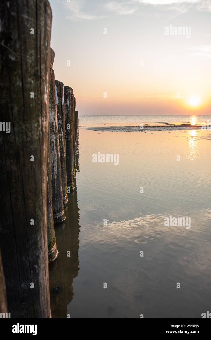Columns of wooden posts at the beach pictured at sunset Stock Photo - Alamy