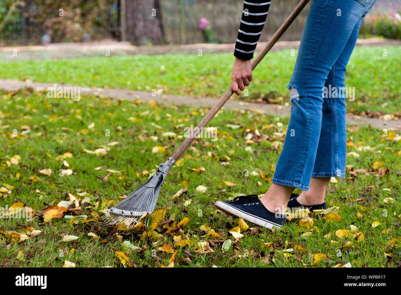 Farmer raking grass hi-res stock photography and images - Alamy