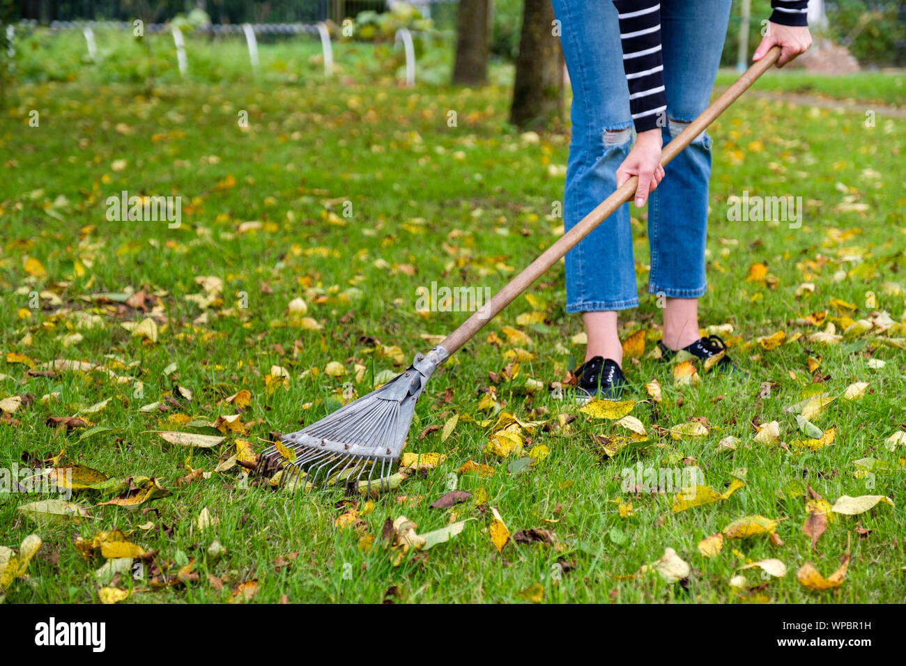 Farmer raking grass hi-res stock photography and images - Alamy