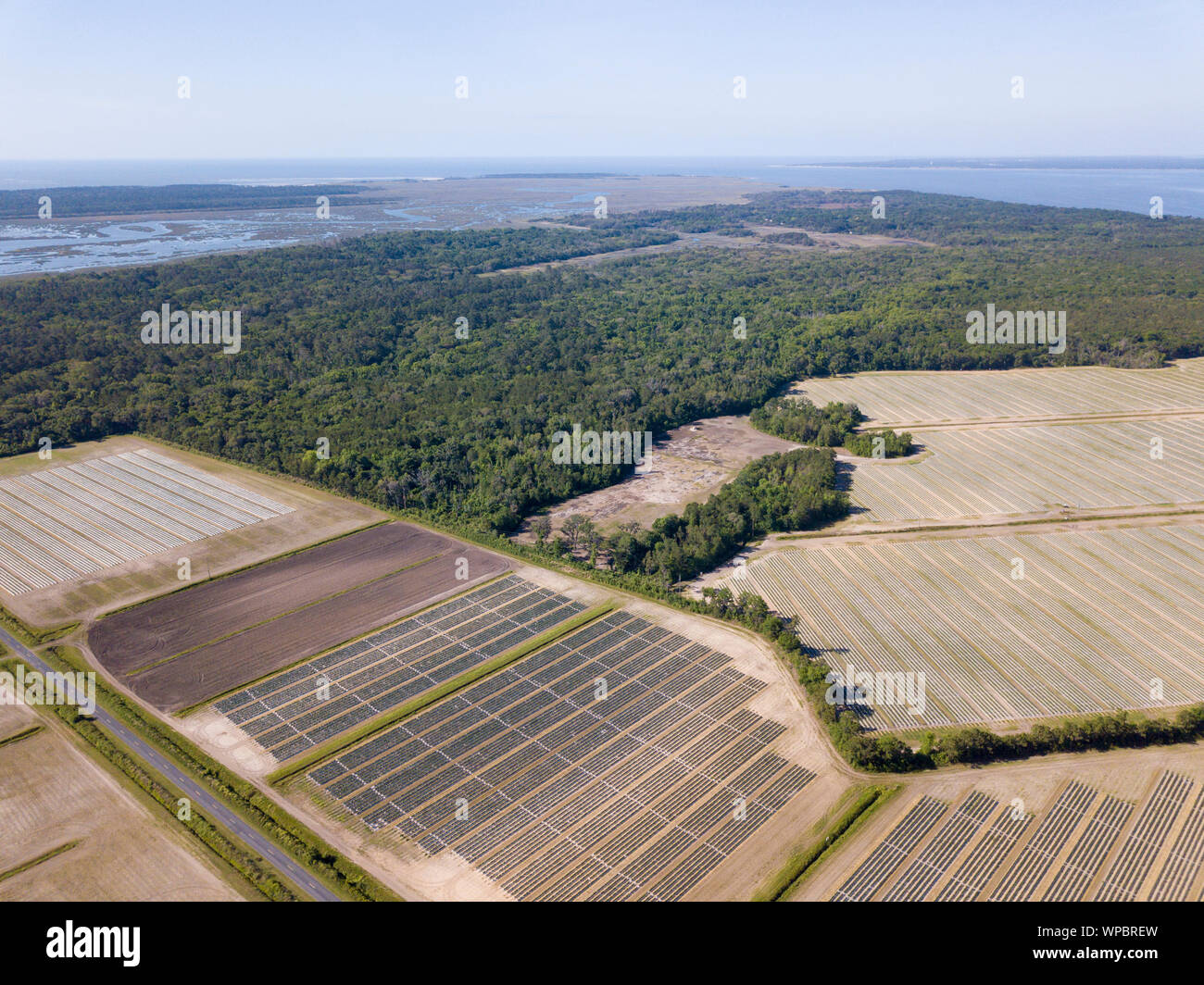 St. helena island, south carolina hi-res stock photography and images ...