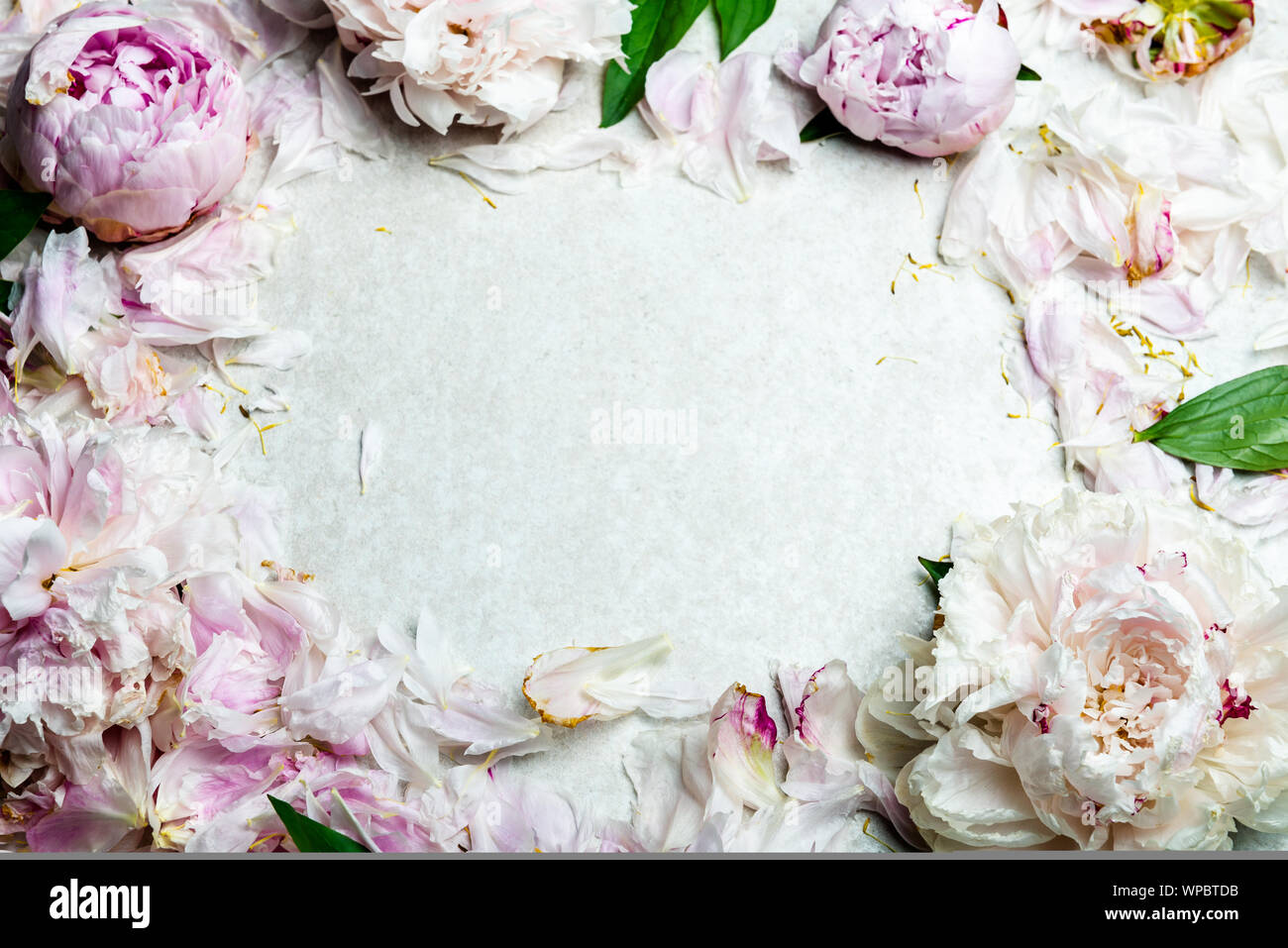 Frame made of pink peony flowers Stock Photo - Alamy