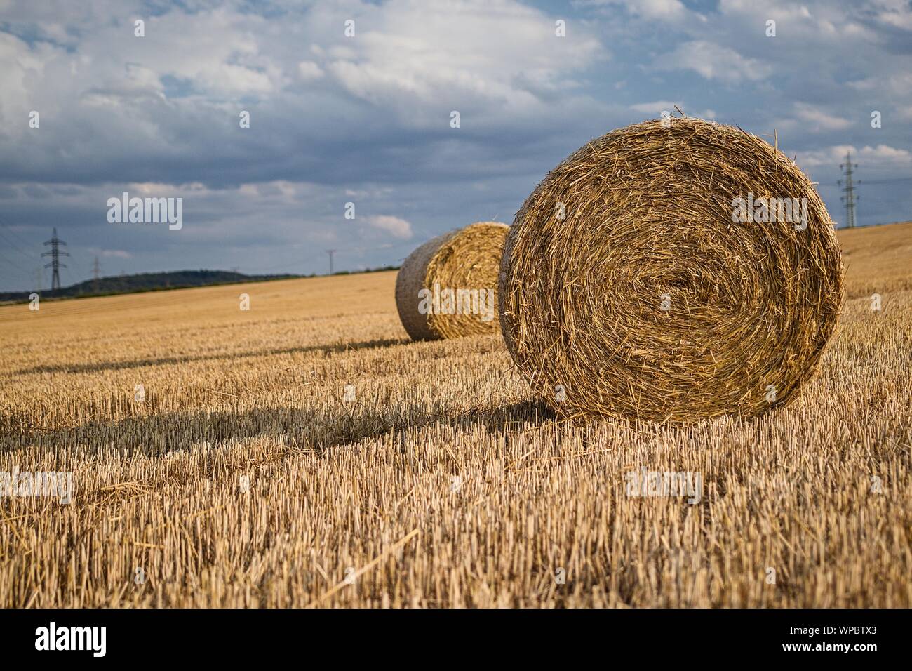 Bales of may Stock Photo - Alamy