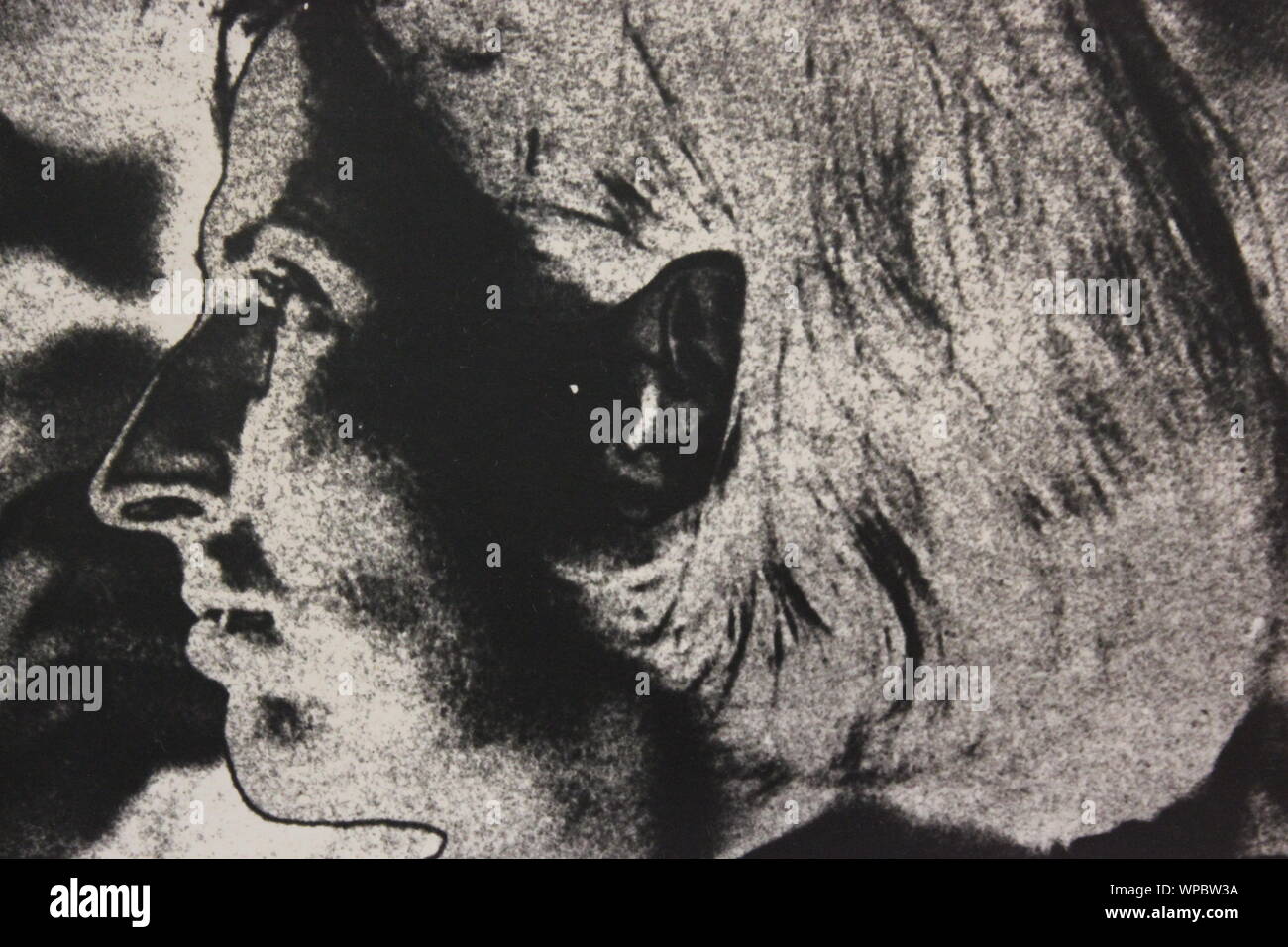 Fine black and white art photography from the 1970s reverse negative ...