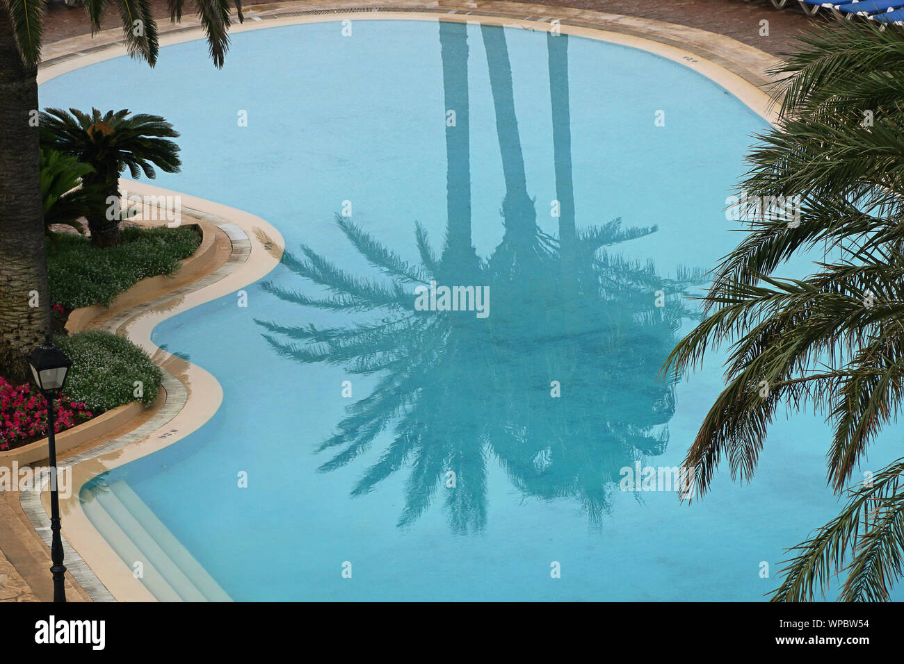 Natural swimming pool coconut trees hi-res stock photography and images ...
