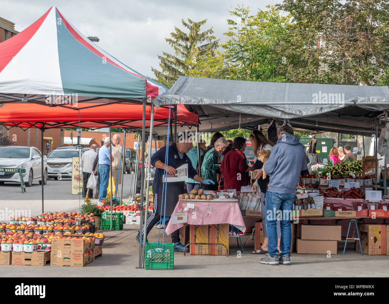 Farmers market fruits vegetables hi-res stock photography and images ...
