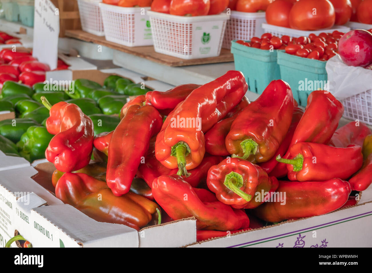 Fresh picked sweet red peppers on display at a local farmers market ...
