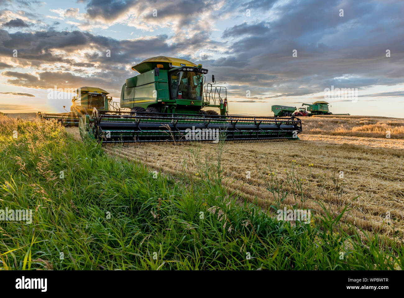 Combines at work during wheat harvest hi-res stock photography and ...