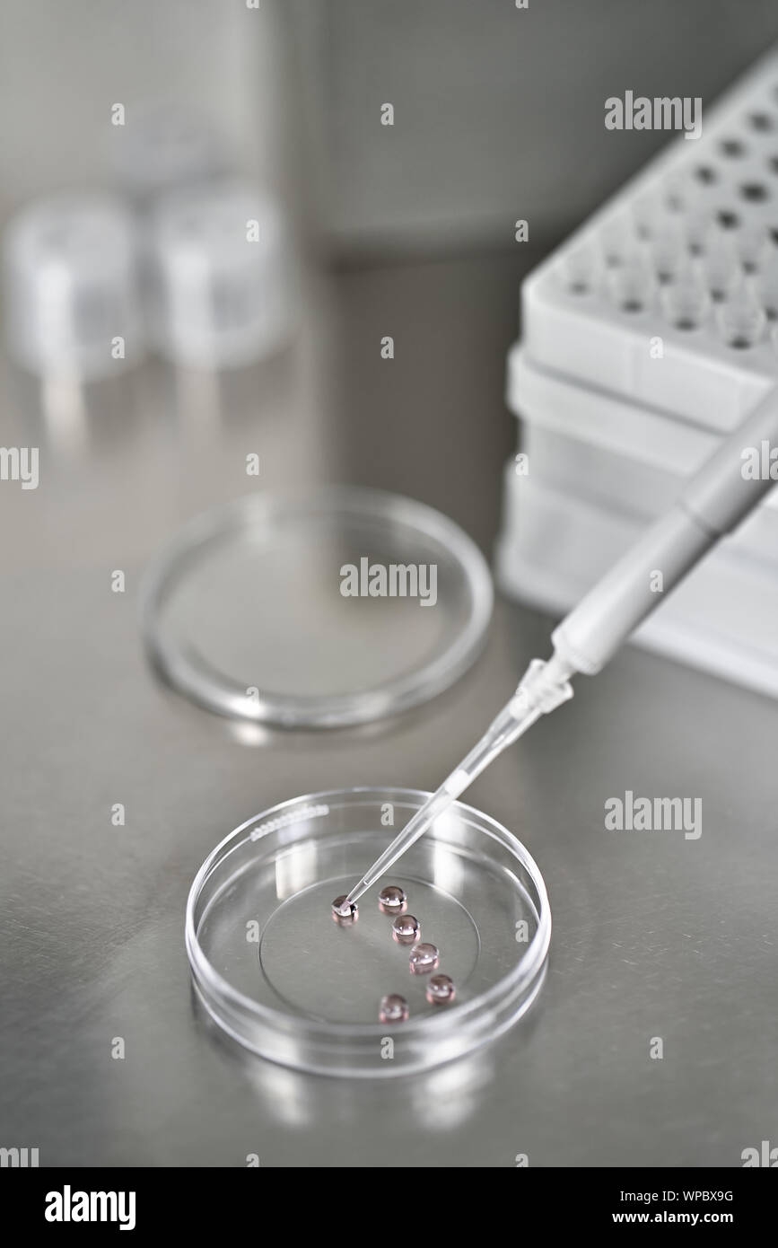 Infertility vertical hi-res stock photography and images - Alamy