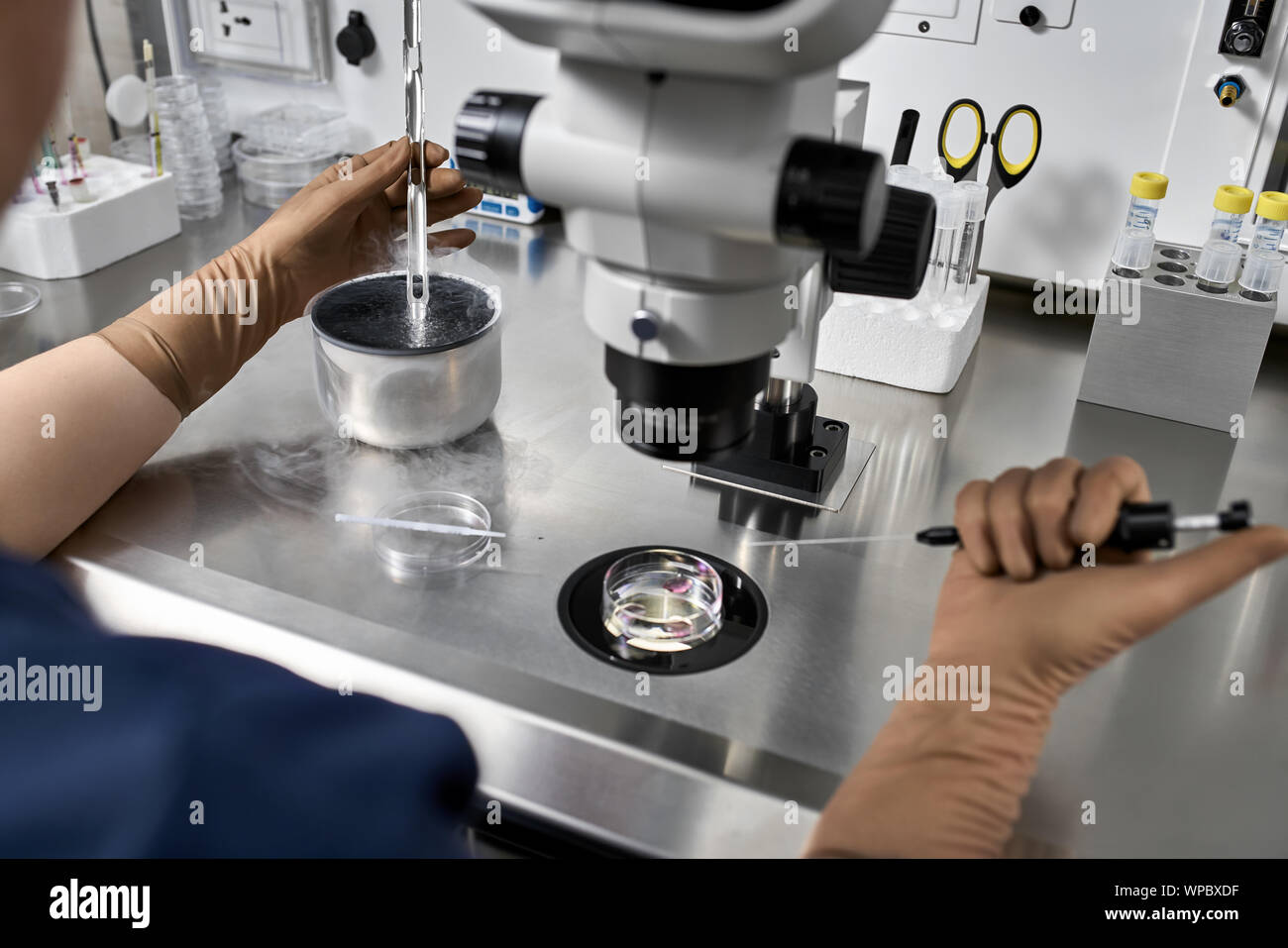 Worker in brown latex gloves takes material from the cryogenic storage ...