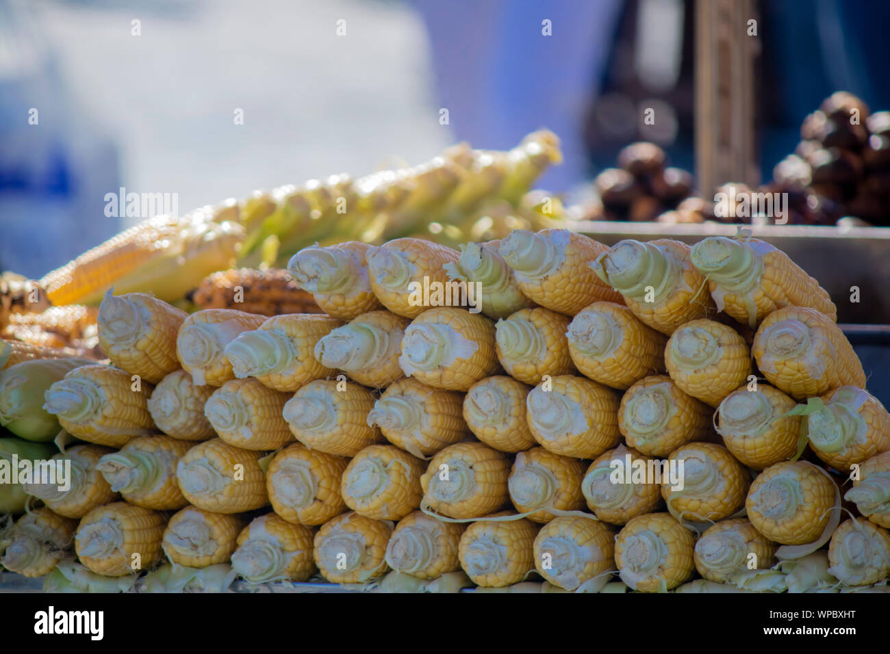 Fresh raw corn lined up in a row. Sold on wheelchair Stock Photo - Alamy