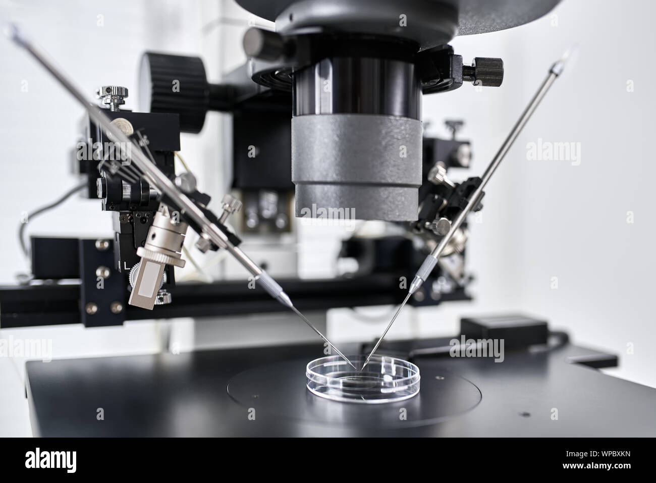 Micromanipulator hi-res stock photography and images - Alamy