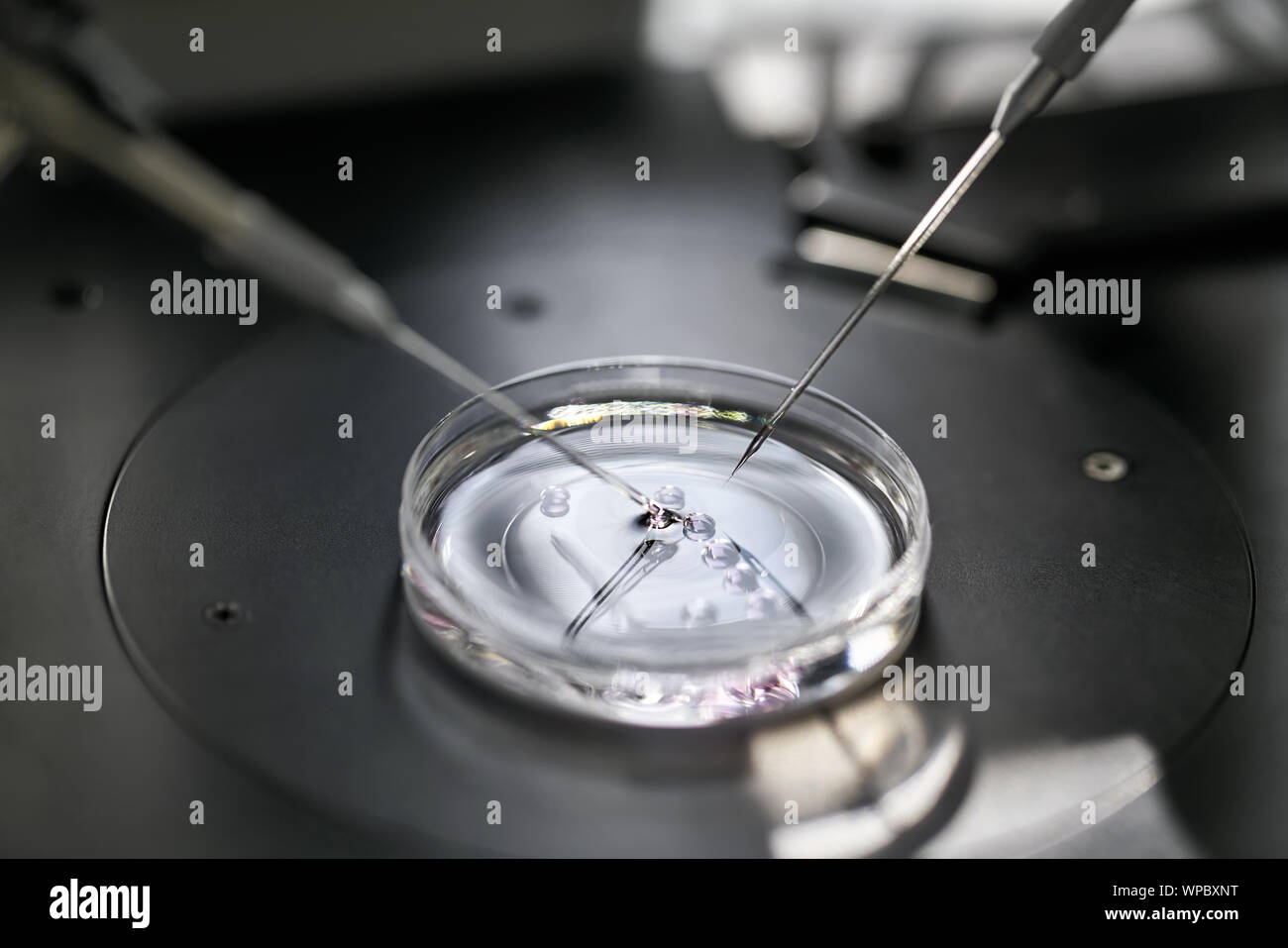 Sperm drops hi-res stock photography and images - Alamy