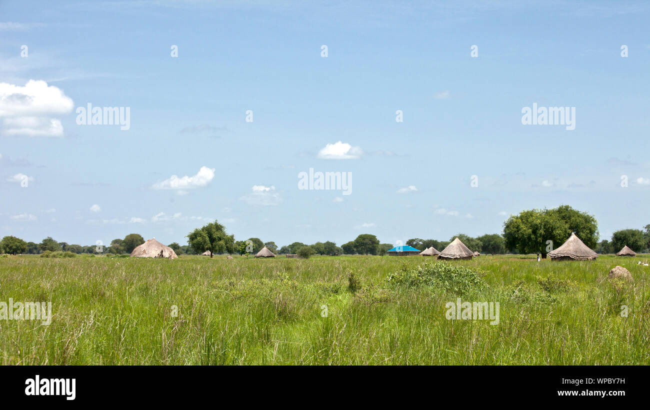 Sudan grass hi-res stock photography and images - Alamy