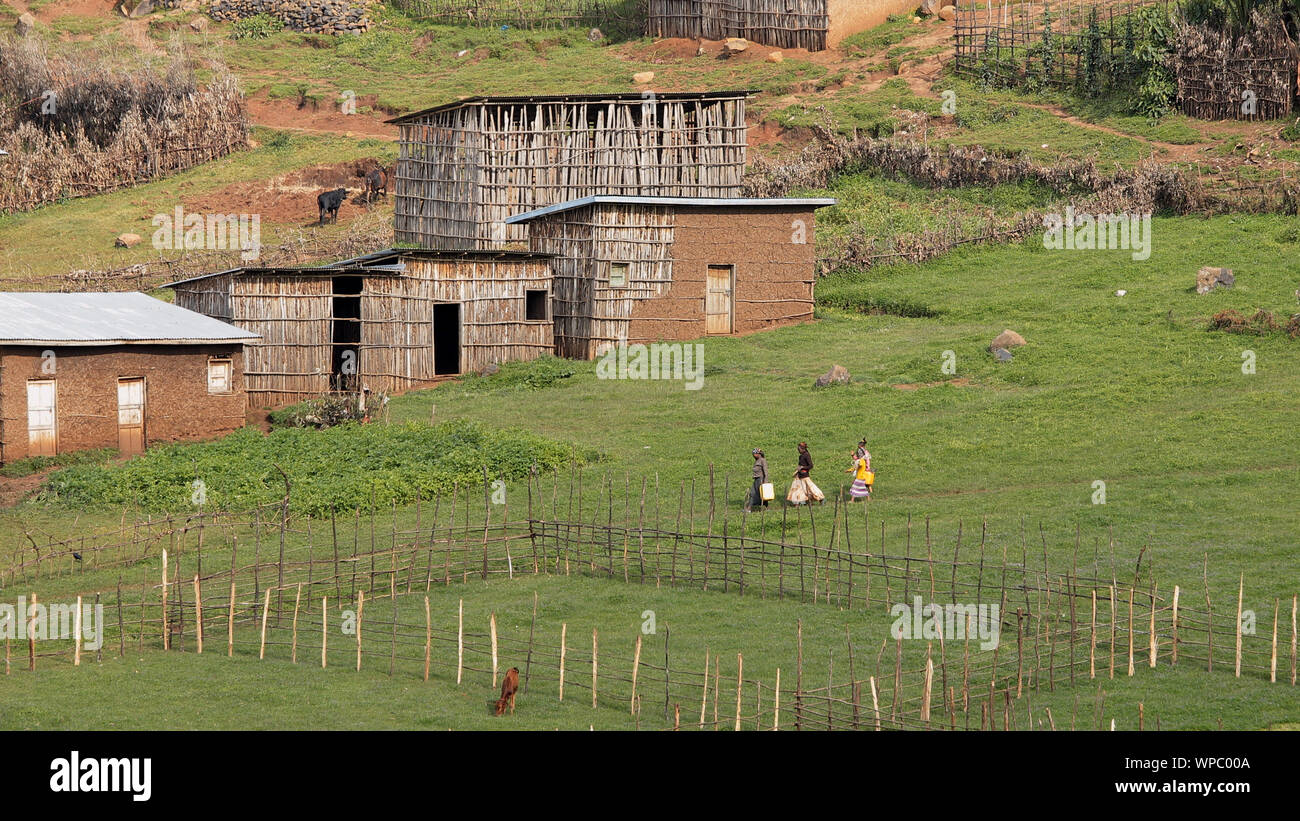 Ethiopia farm women hi-res stock photography and images - Alamy