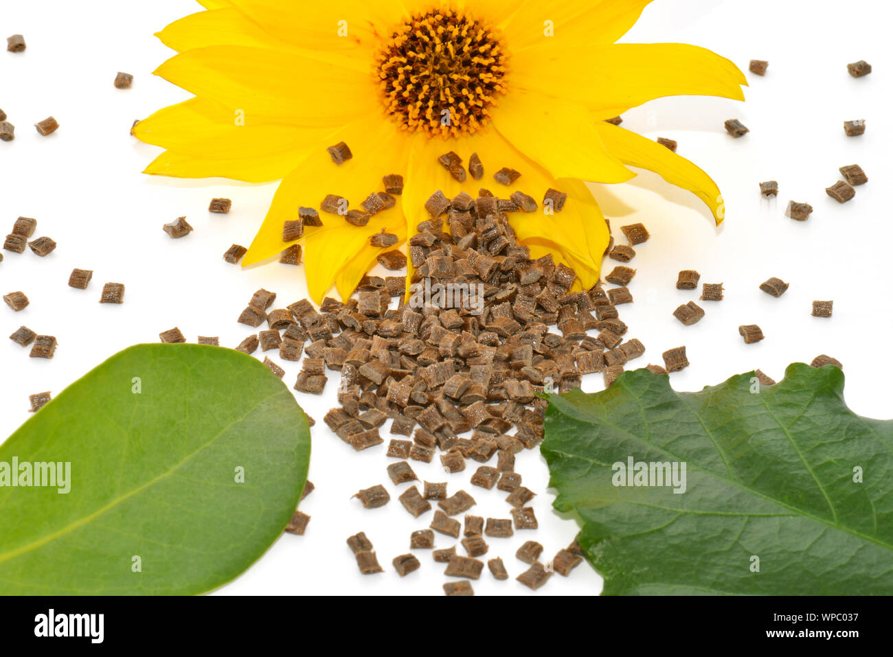 Bio polymer granulate in laboratory Stock Photo - Alamy