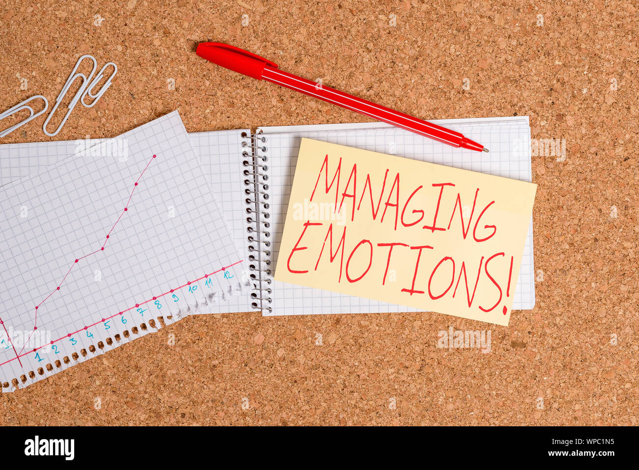 Word writing text Managing Emotions. Business photo showcasing ability ...