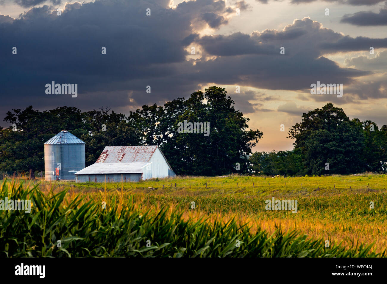 Corn barn silo agriculture farm rural hi-res stock photography and ...