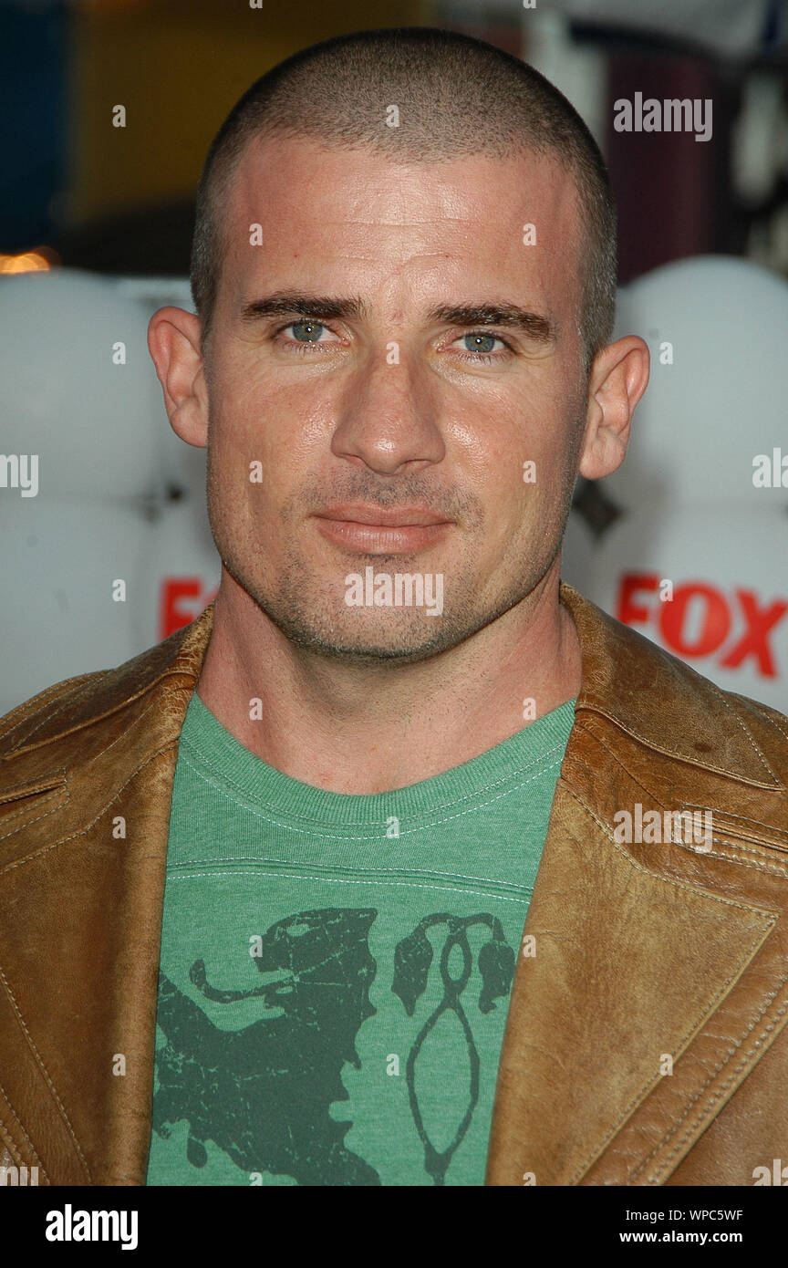 Dominic Purcell at the FOX 2005 Summer All Star Party held at The Santa ...