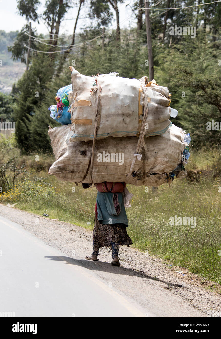 Carry A Load On Back