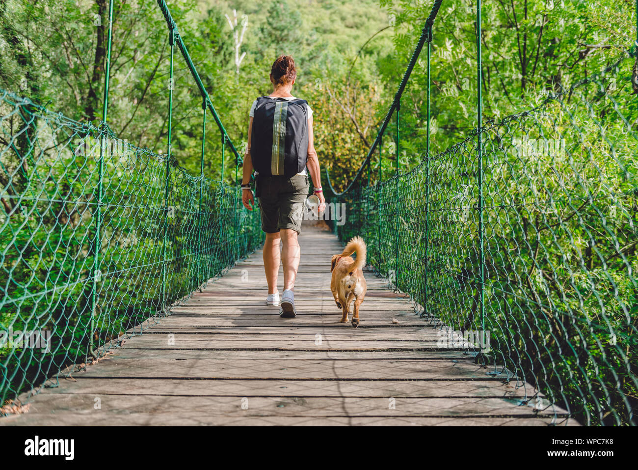 Women and small yellow dog walking over wooden suspension bridge in the ...