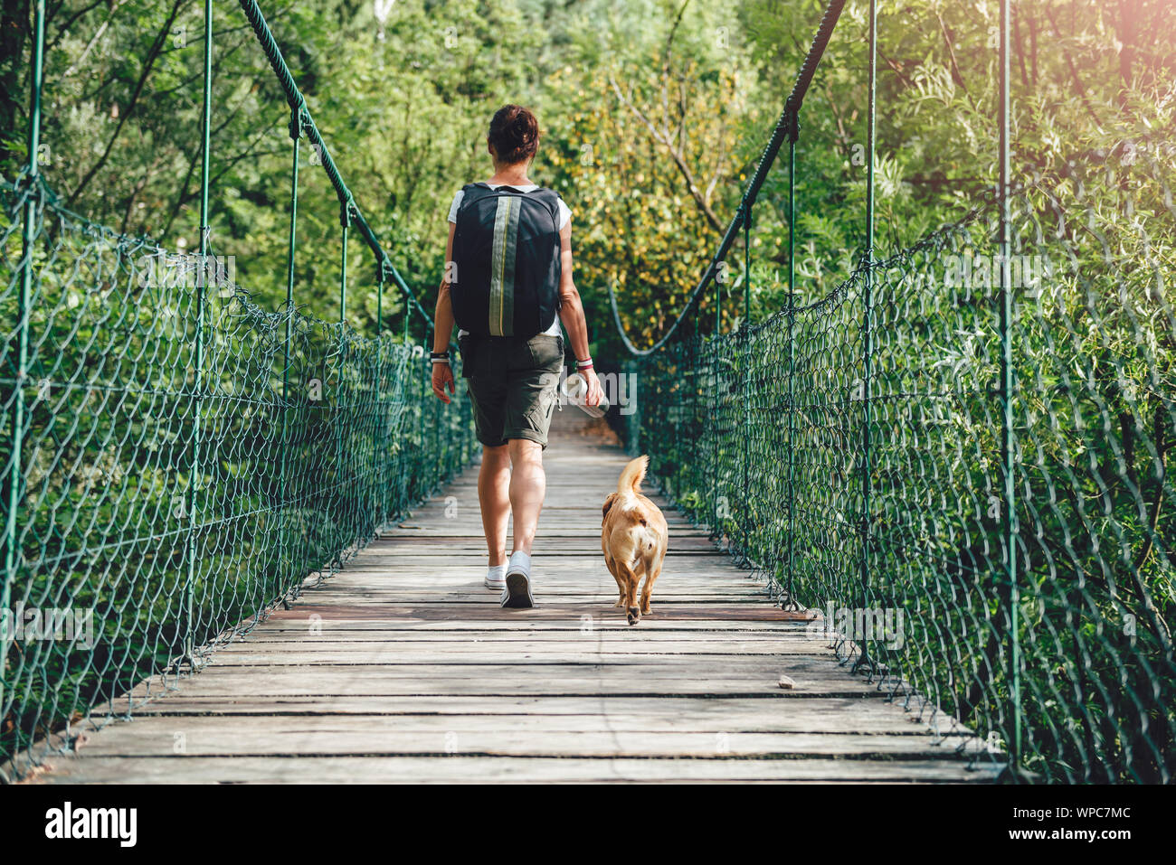 Women and small yellow dog walking over wooden suspension bridge in the ...