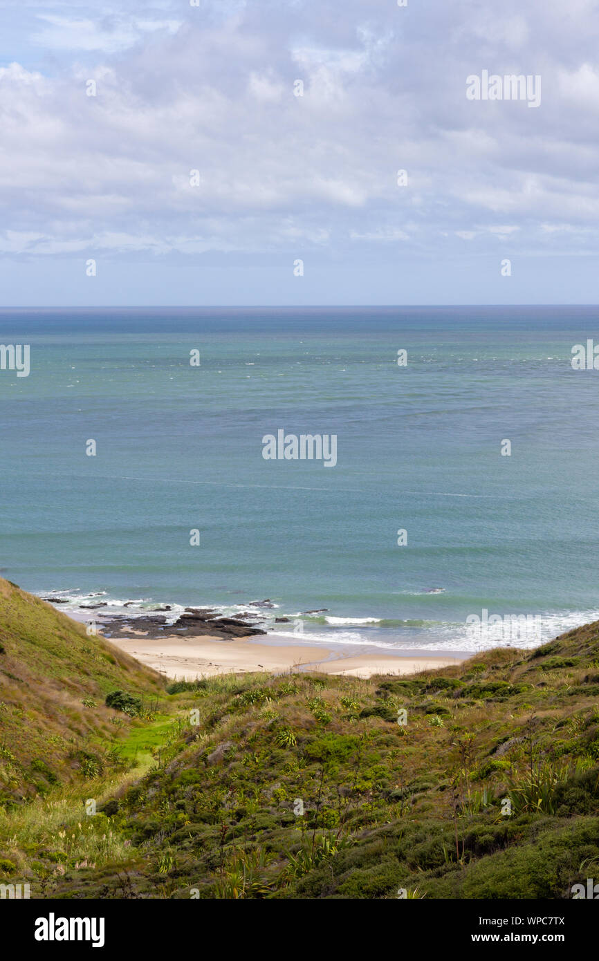 Opononi northland new zealand hi-res stock photography and images - Alamy