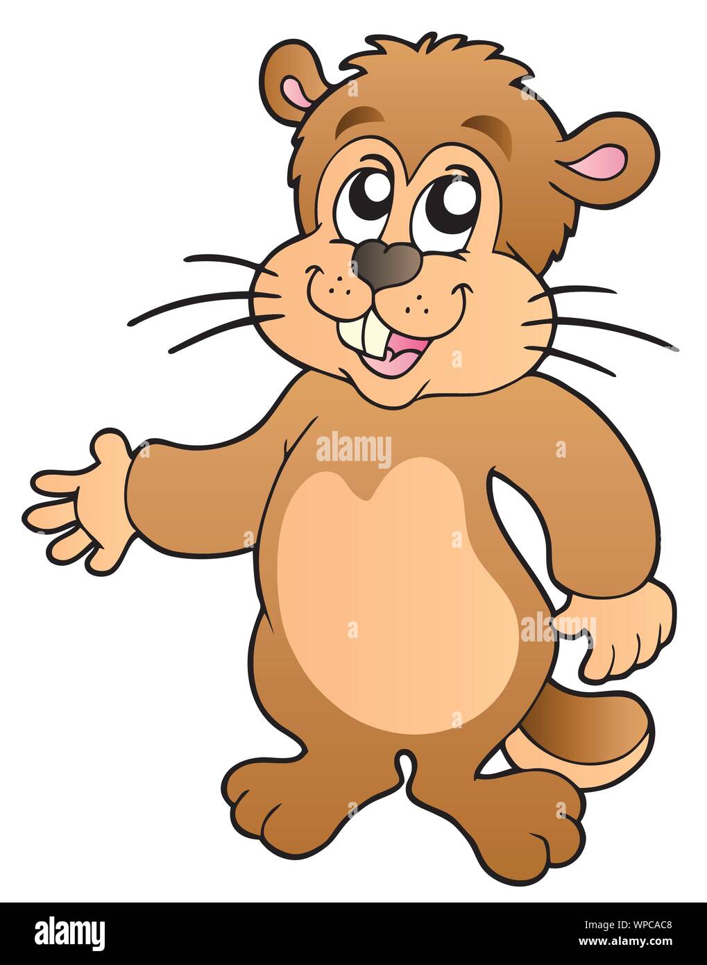 Gopher teeth hi-res stock photography and images - Alamy