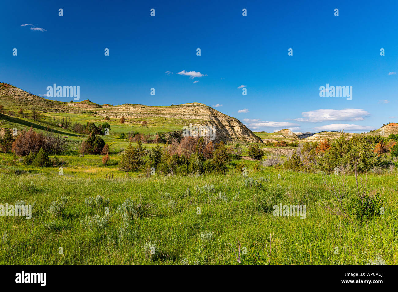 The Scenic Loop Road at Theodore Roosevelt National Park offers ...